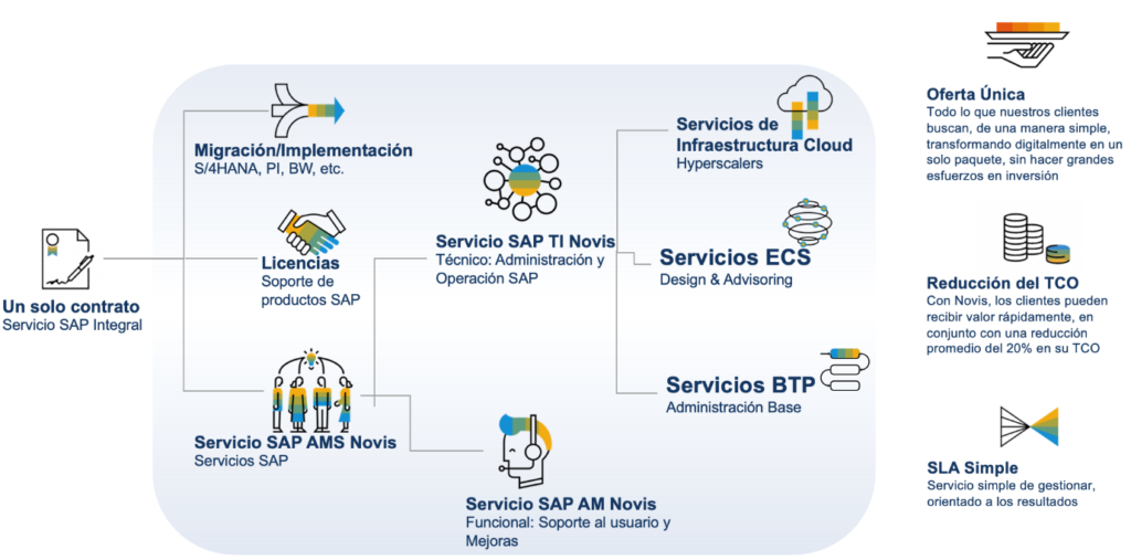 Novis SAP AMS Service for SAP RISE | Novis