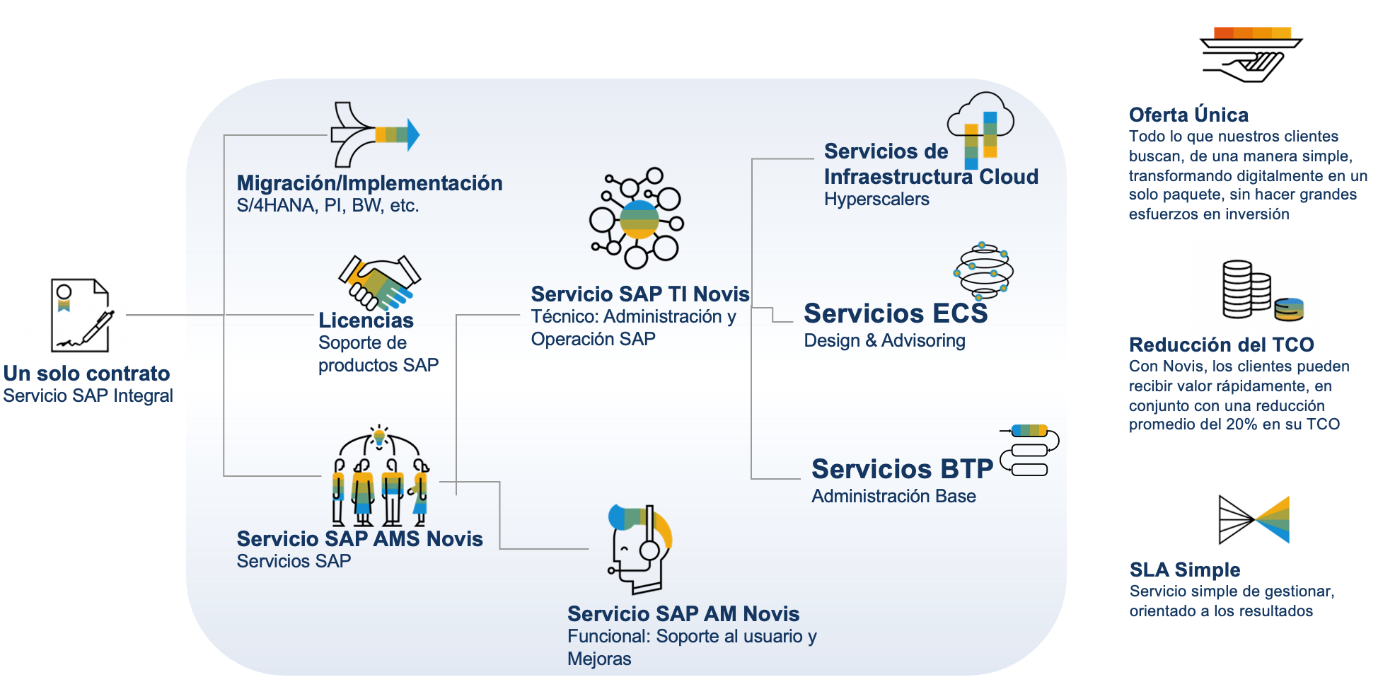 Novis SAP AMS Service for SAP RISE | Novis